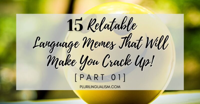 15 Relatable Language Memes That will make you Crack Up! ⋆ Plurilingualism