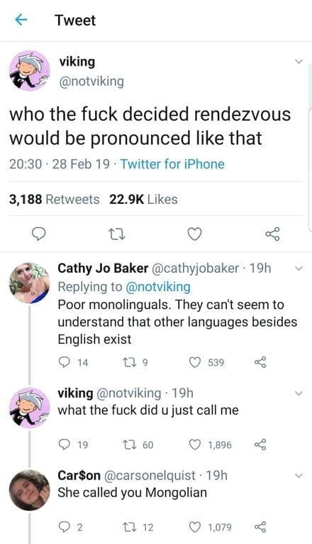 15 Relatable Language Memes That will make you Crack Up! ⋆ Plurilingualism