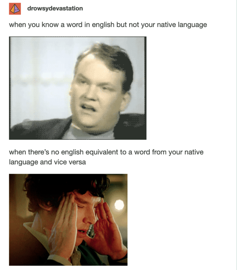 15 of the most Hilarious Language memes [Part 3] ⋆ Plurilingualism