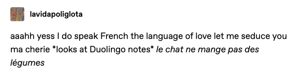 15 of the most Hilarious Language memes [Part 3] ⋆ Plurilingualism