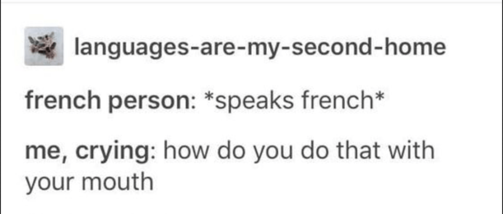 15 of the most Hilarious Language memes [Part 3] ⋆ Plurilingualism