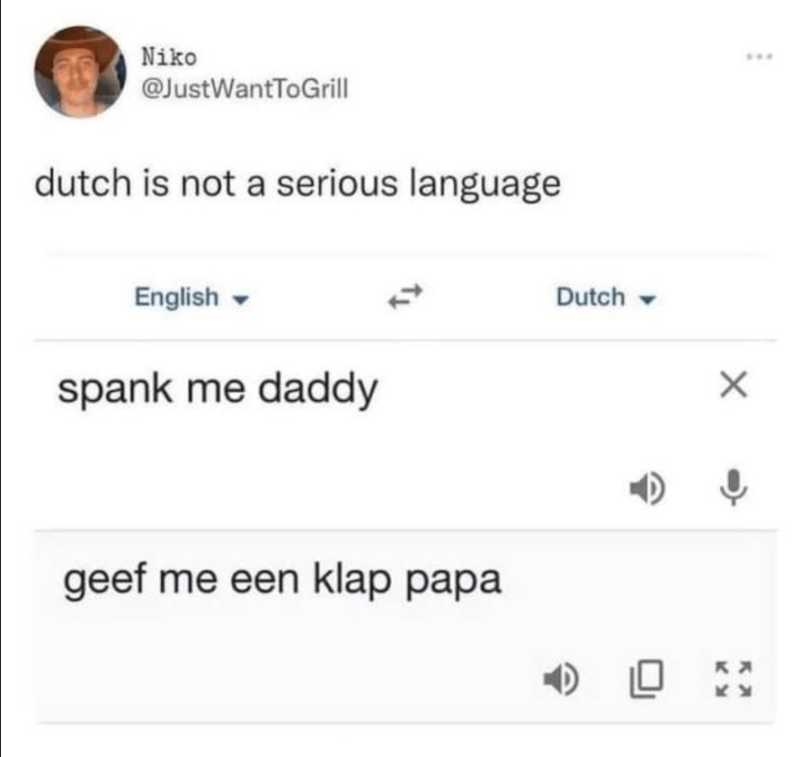 15 of the most Hilarious Language memes [Part 3] ⋆ Plurilingualism